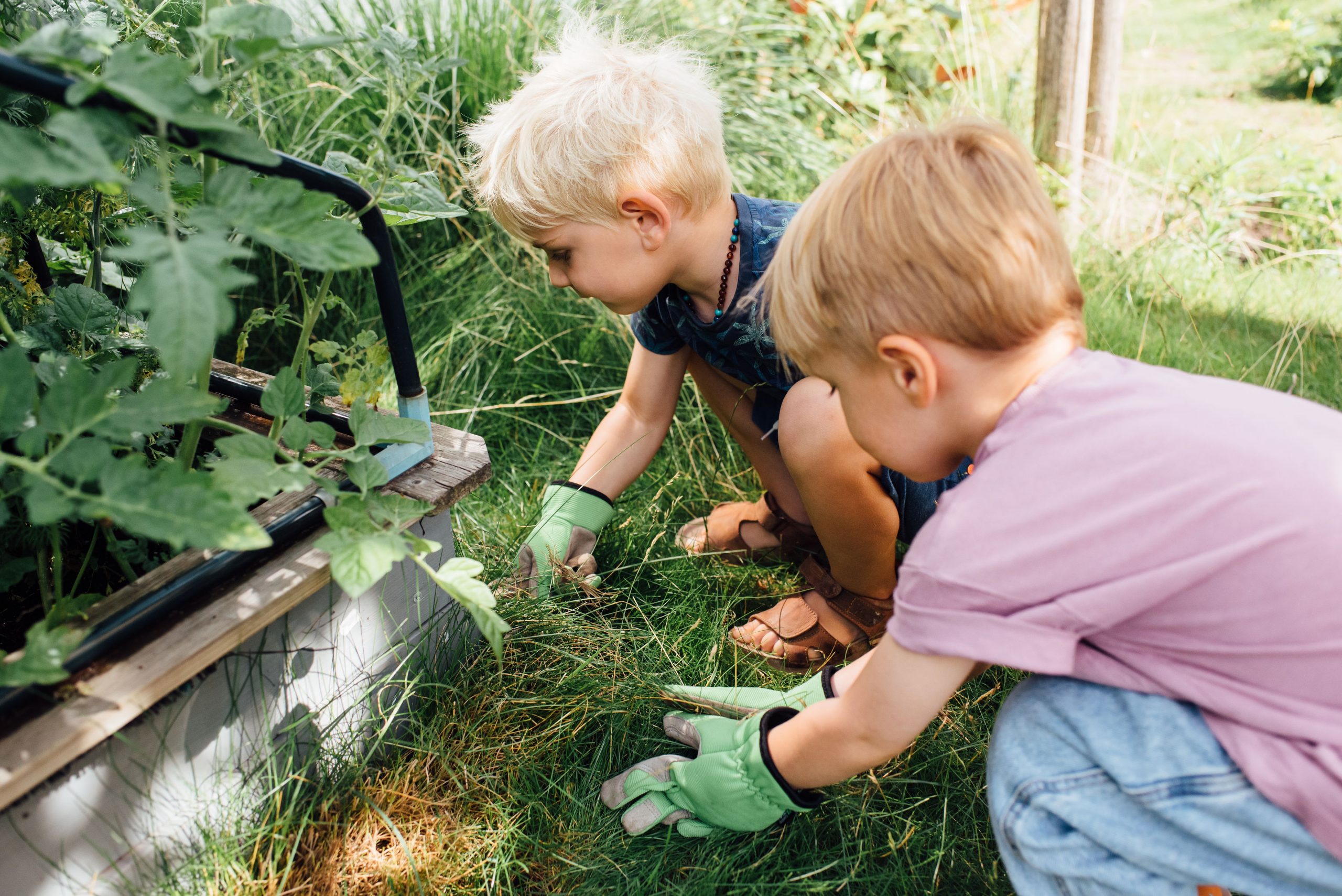 Waarom we biologisch eten - Devikids